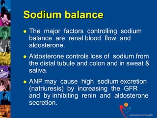 Water and sodium balance dr onu em | PPT