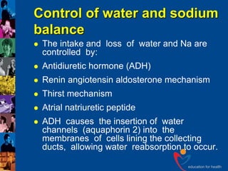 Water and sodium balance dr onu em | PPT