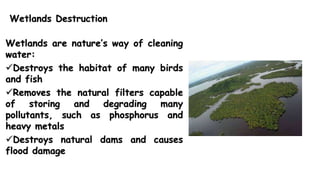 Water and soil pollution.pptx