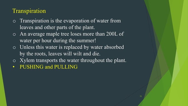 Water and solute transport in plant ppt | PPTX | Biological Sciences ...