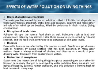 Water and solution | PPTX