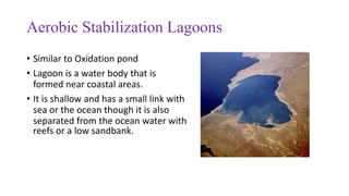 Biological Treatment for Waste Water | PPTX