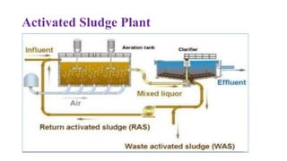 Biological Treatment for Waste Water | PPTX