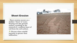 Water and Wind Erosion.pptx | Agriculture | Industries