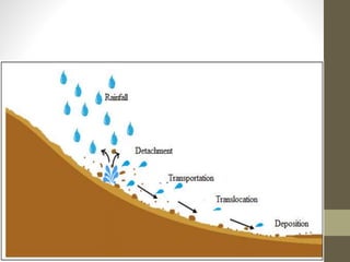 Wind Erosion Diagram For Kids