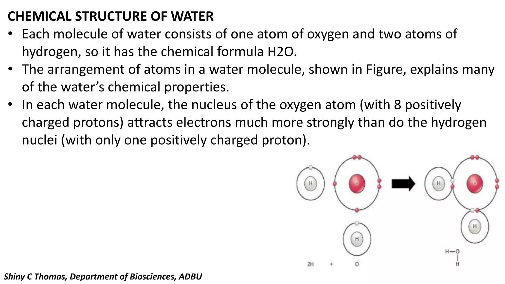 Water as biological solvent.pdf