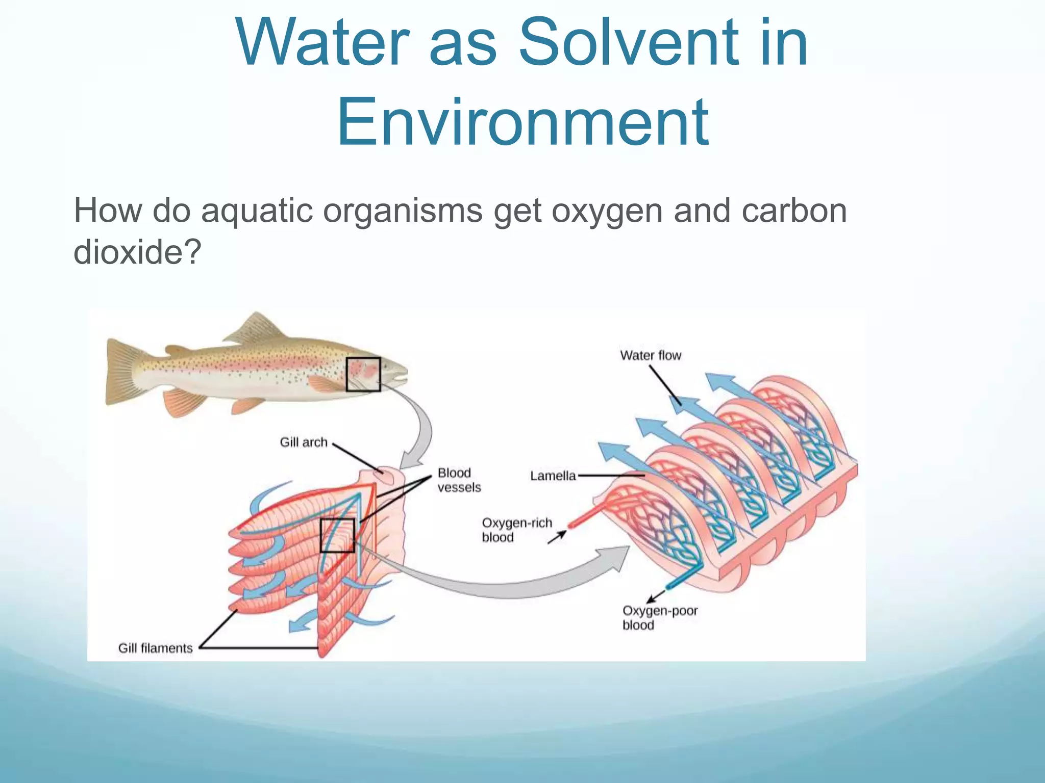 Water as solvent | PPTX