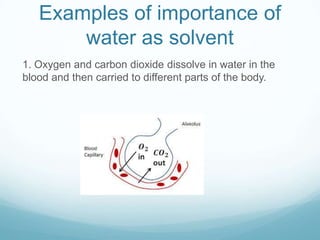 Water as solvent | PPTX