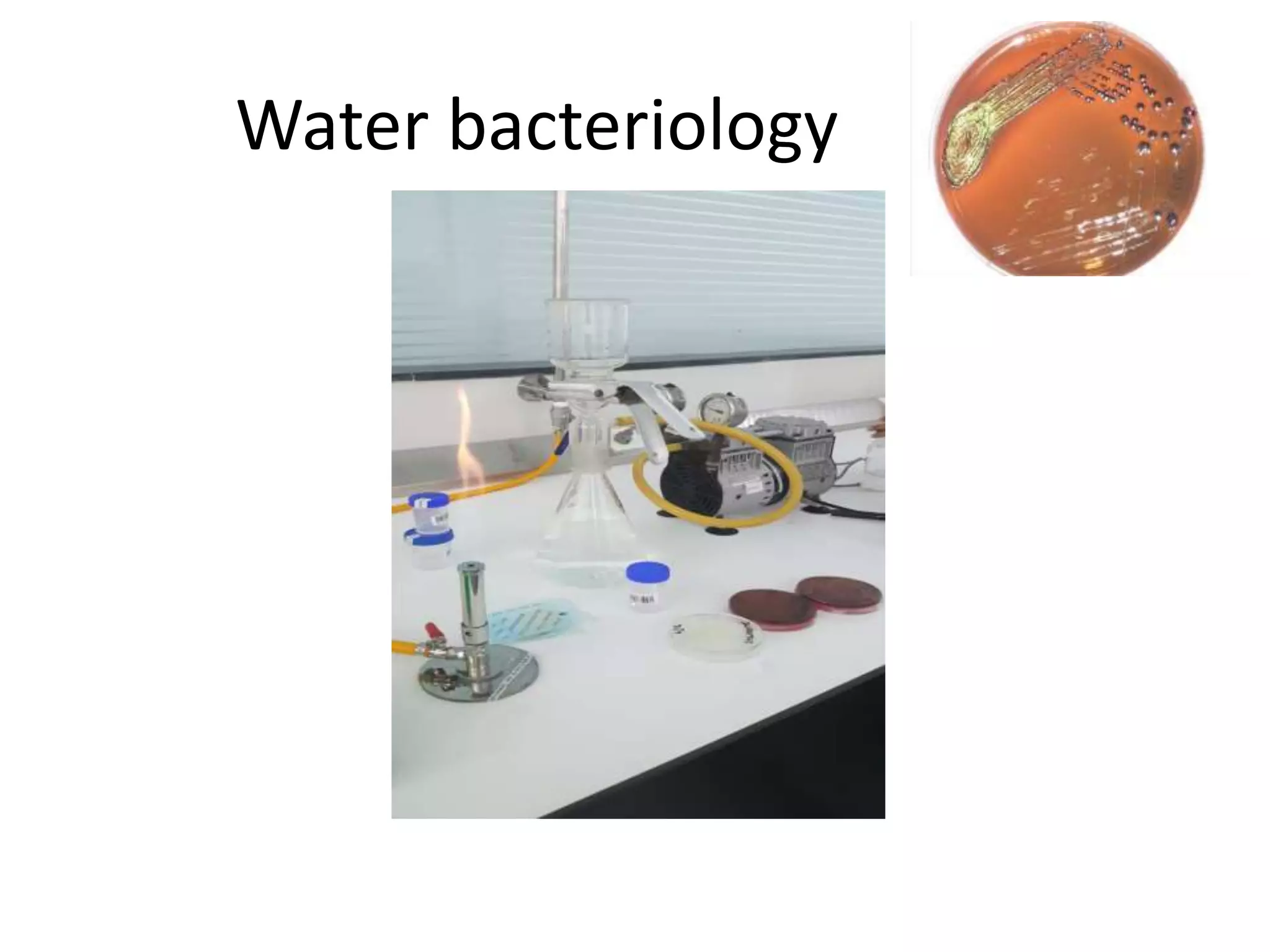 Water bacteriology | PPTX