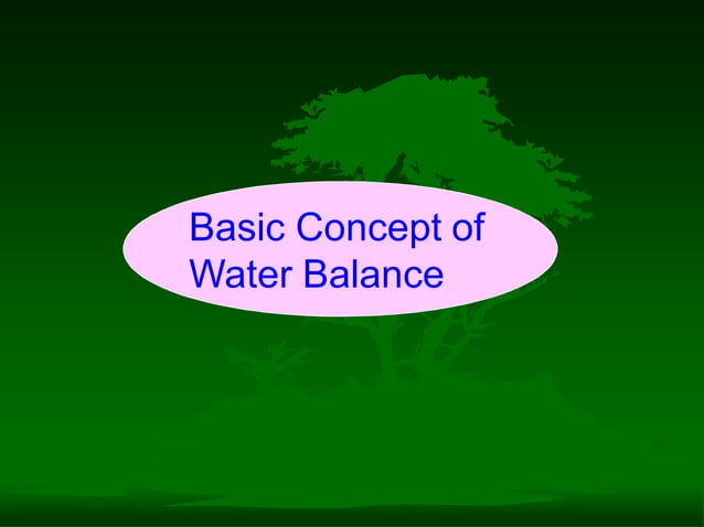 Water Balance Analysis | PDF
