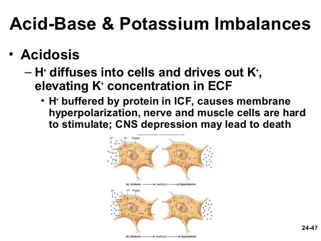 Water, Electrolyte, And Acid-Base Balance