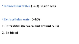 Water Balance and Exercise Performance lecture 2022-2023.pptx