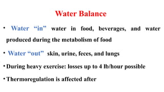 Water Balance and Exercise Performance lecture 2022-2023.pptx
