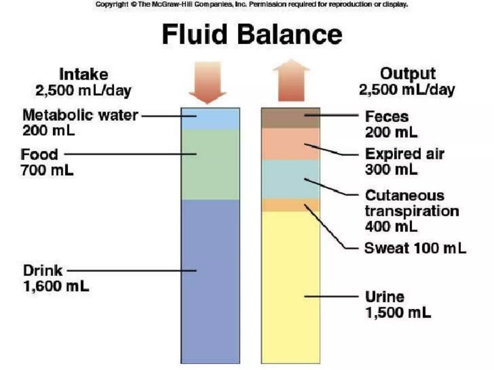 Water balance ppt | PPTX