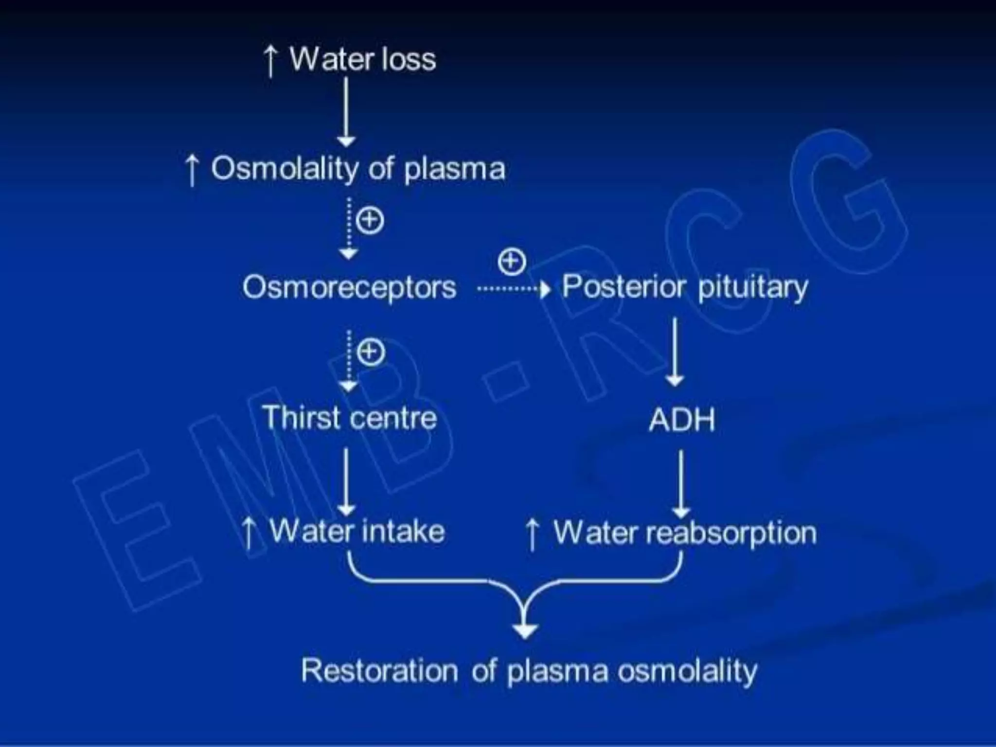 Water balance ppt | PPTX