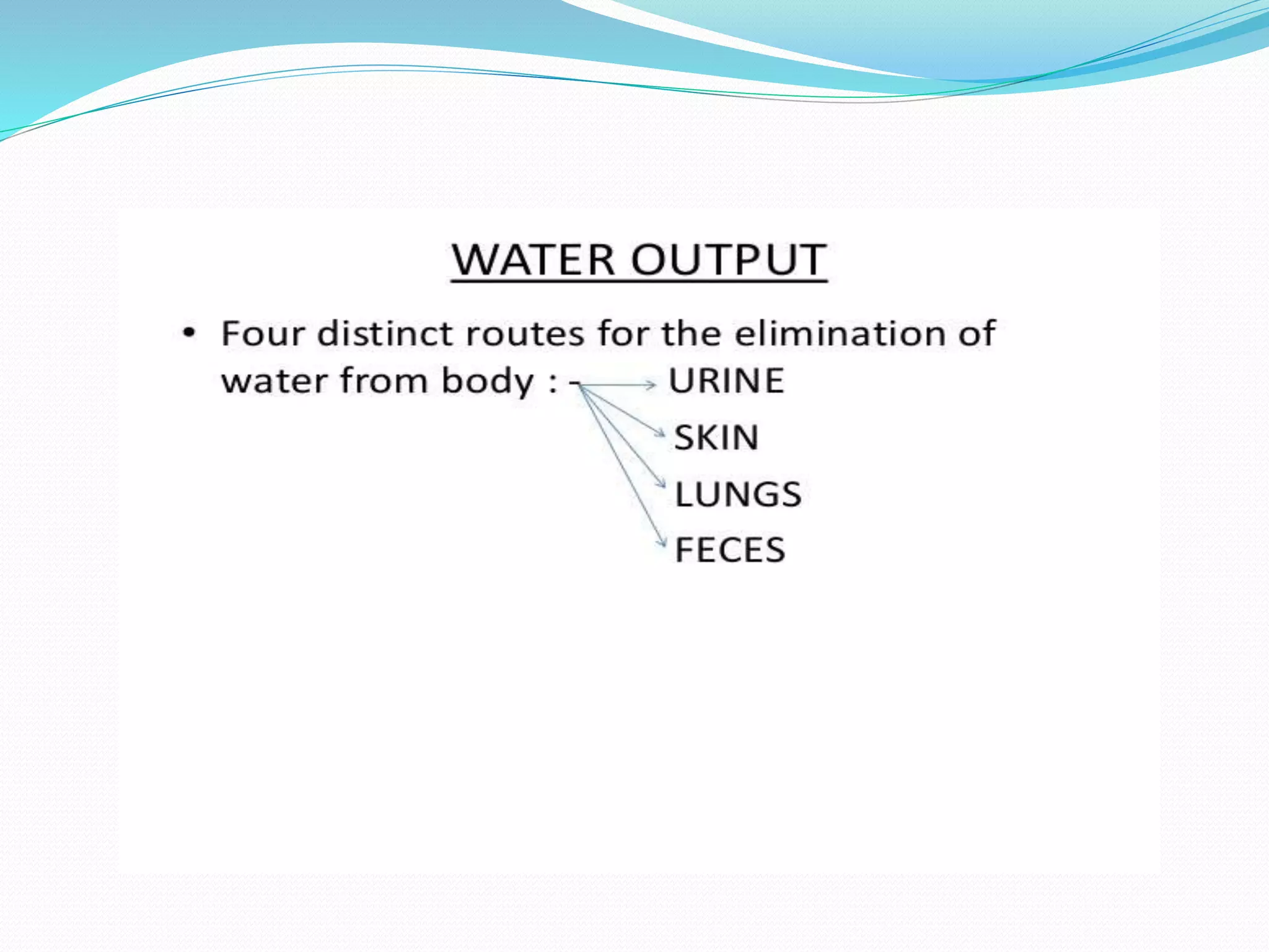 Water balance ppt | PPTX