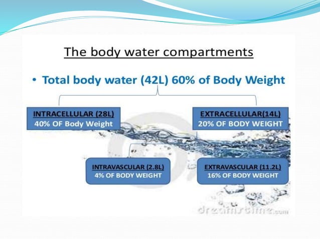 Water balance ppt | PPTX | Endocrine and Metabolic Diseases | Diseases ...