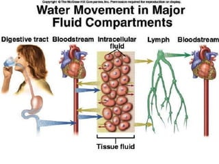 Water balance ppt | PPTX