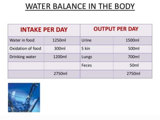 Water balance ppt | PPTX