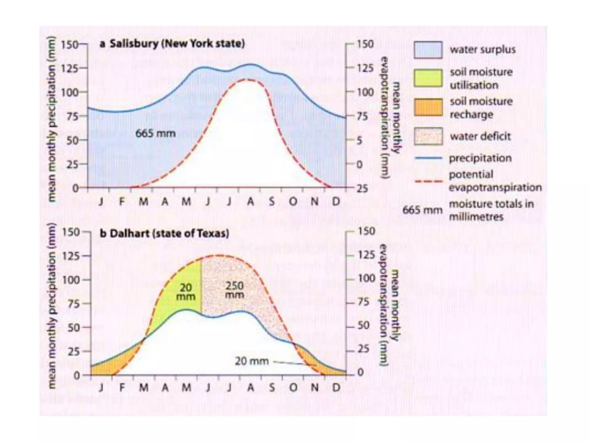 Water Balance VLE | PPTX