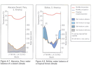 Water Balance VLE | PPTX