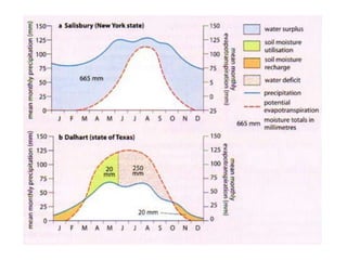 Water Balance VLE | PPTX