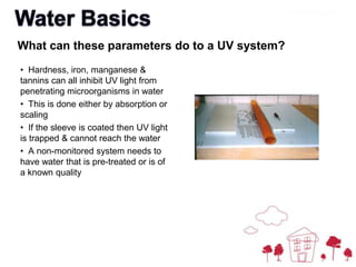 Water Basics | PPTX