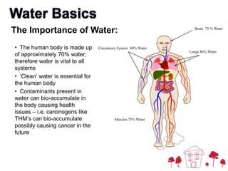 Water Basics | PPTX