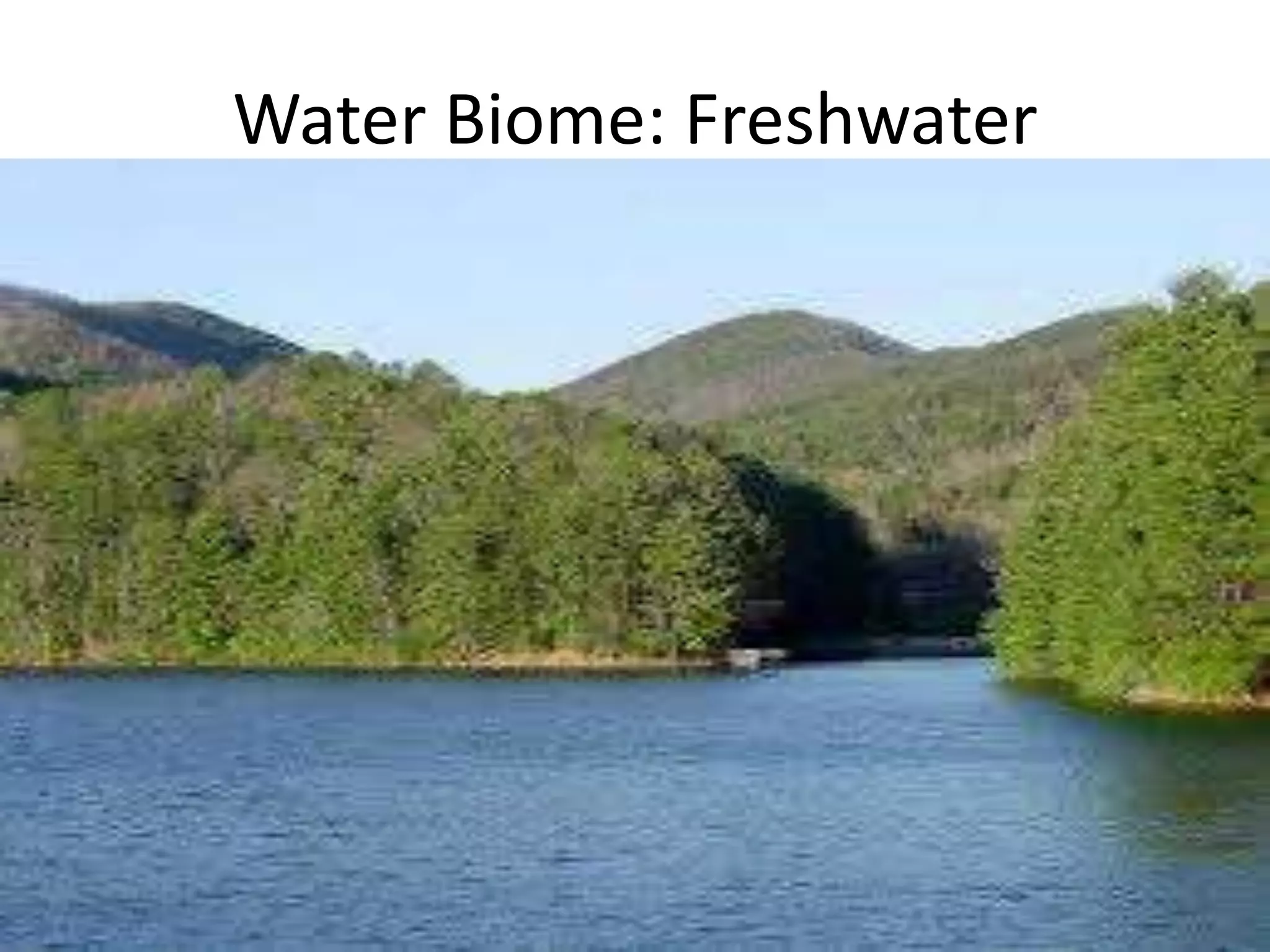 Water biome freshwater | PPT