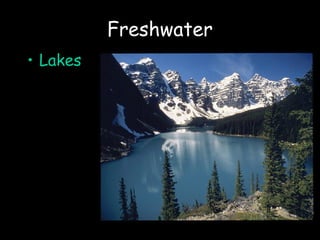 Water Biomes | PPT