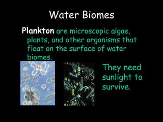 Water Biomes | PPT
