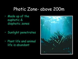 Water Biomes | PPT
