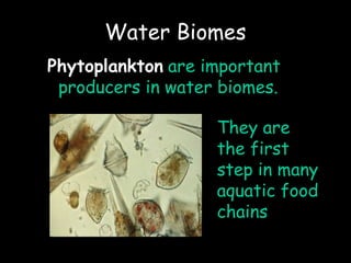 Aquatic Biomes Presentation for Environmental Science | PPT