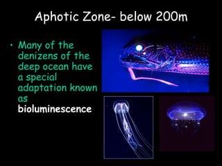 Aquatic Biomes Presentation for Environmental Science | PPT