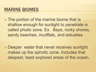 Water biomes and succession | PPTX | Biological Sciences | Science