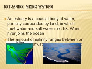 Water biomes and succession | PPTX | Biological Sciences | Science