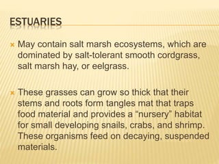 Water biomes and succession | PPTX