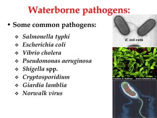 Water Borne Disease Control and Prevention.pdf