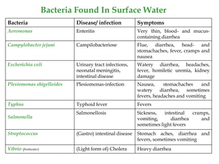 Water Borne Disease Control and Prevention.pdf