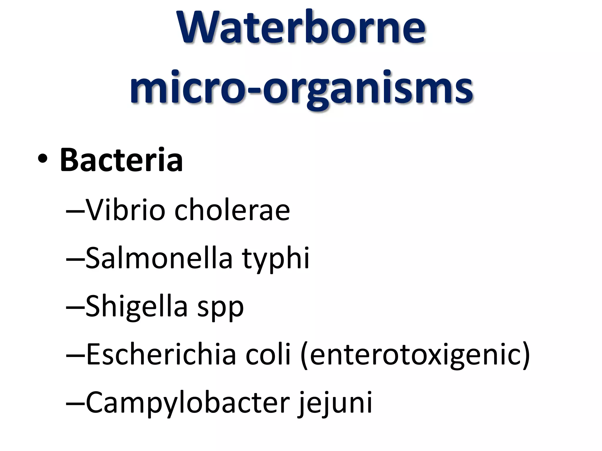 Waterborne diseases | PPTX