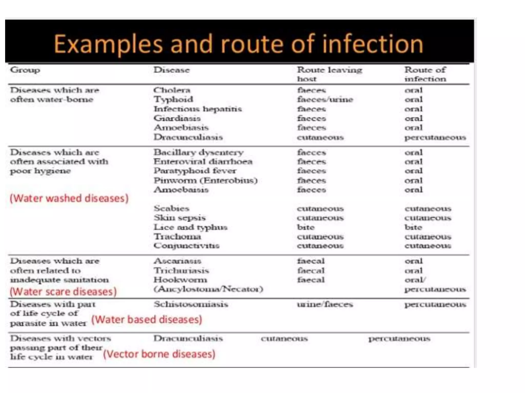 Water borne diseases | PPTX