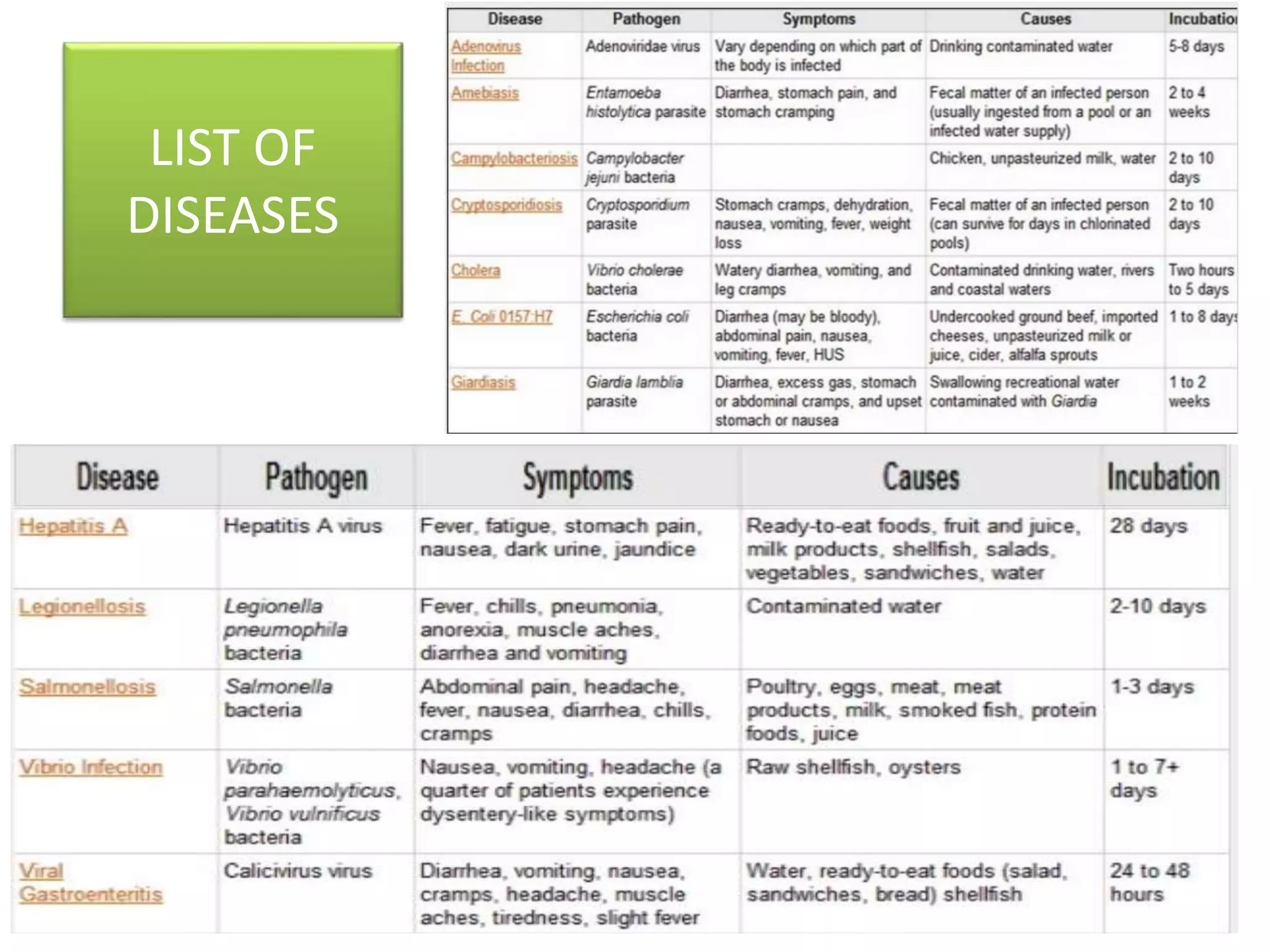 Water borne diseases | PPTX