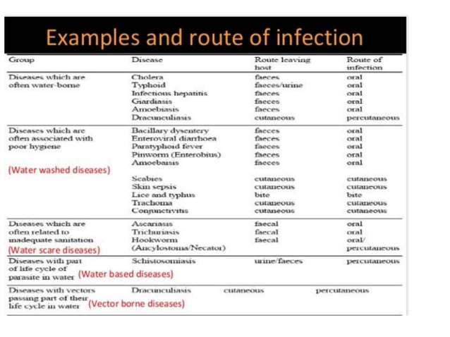 Water borne diseases | PPTX | Geography | Science