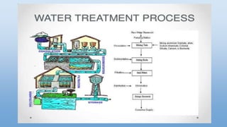 Water borne diseases | PPT