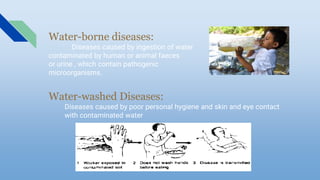 Water borne diseases | PPTX