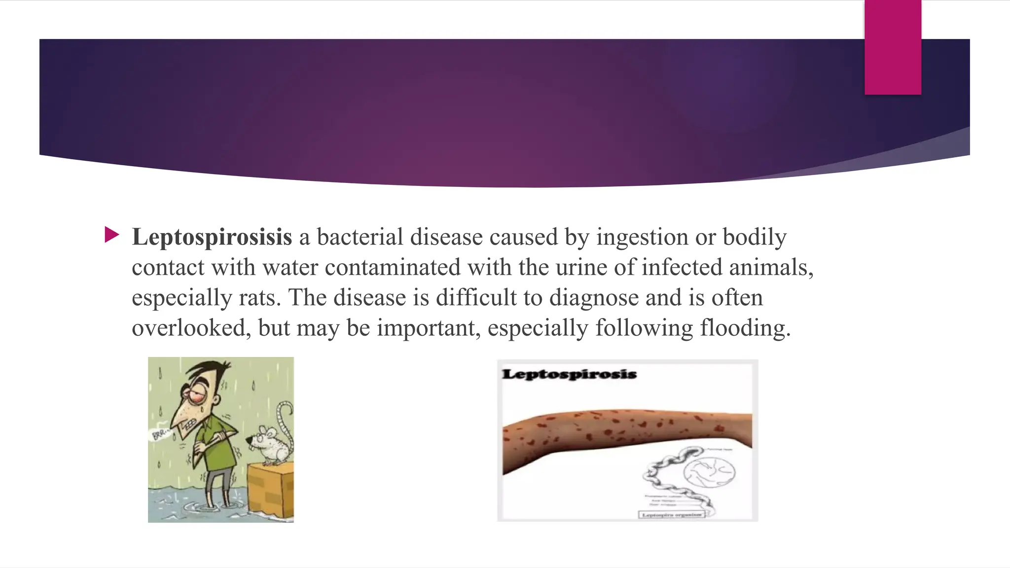 WATER BORNE DISEASES and its types, control and prevention | PPTX