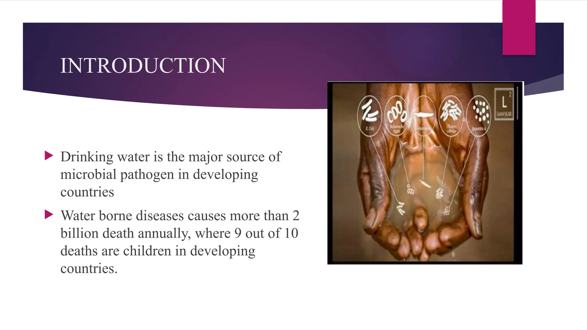 WATER BORNE DISEASES and its types, control and prevention | PPTX