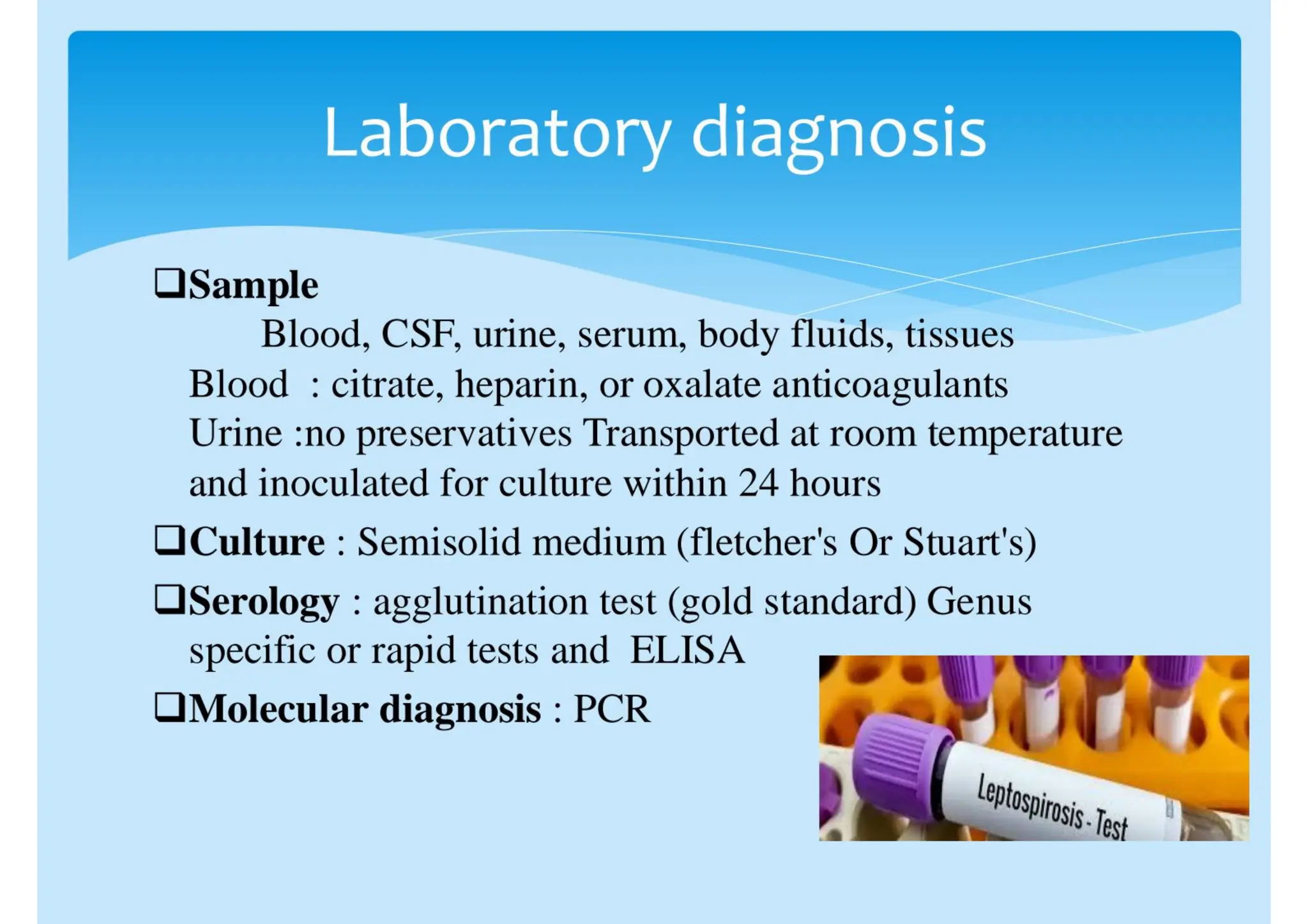 Water borne Pathogen-Leptospira and their disease cycle.pdf