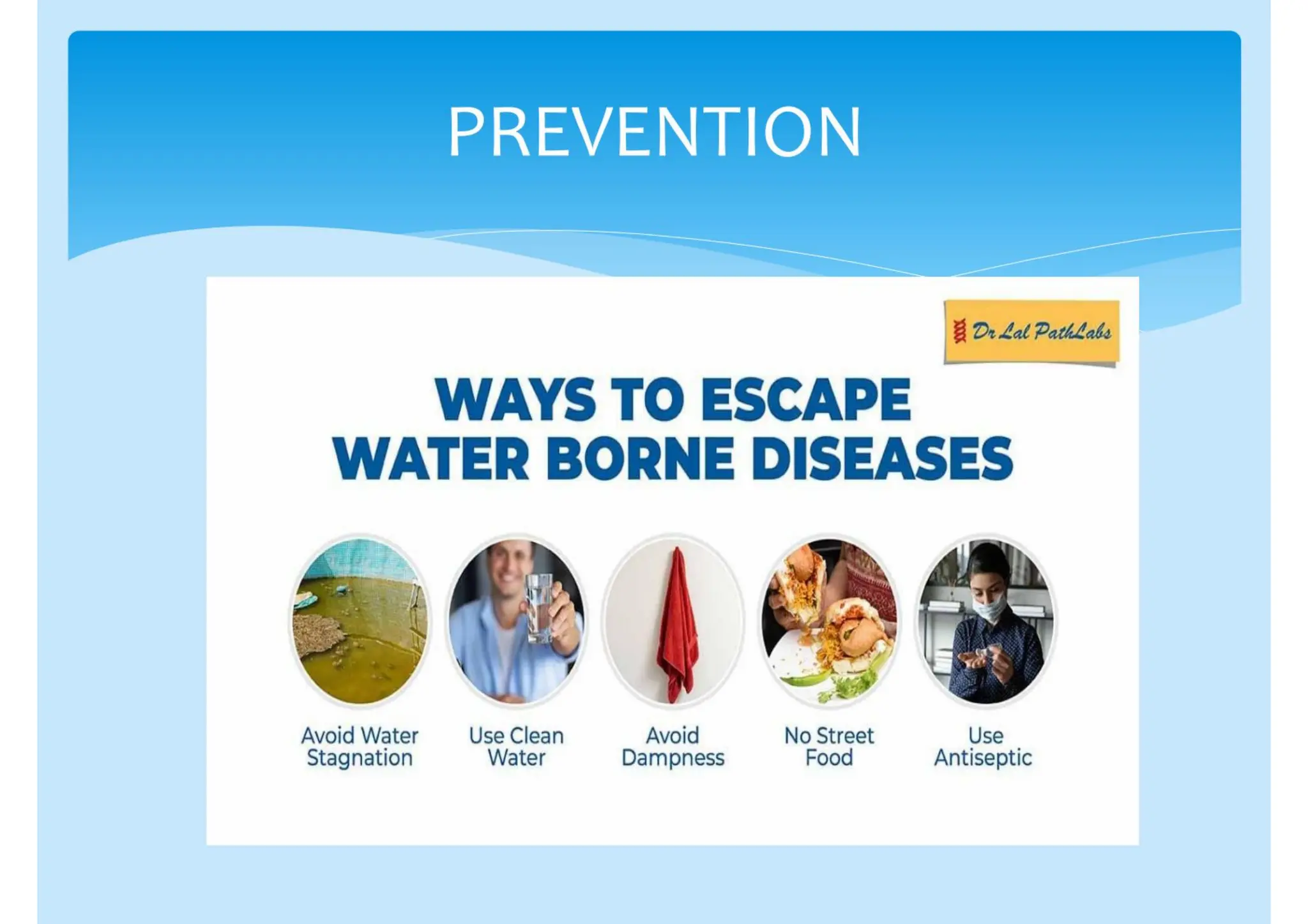 Water borne Pathogen-Leptospira and their disease cycle.pdf
