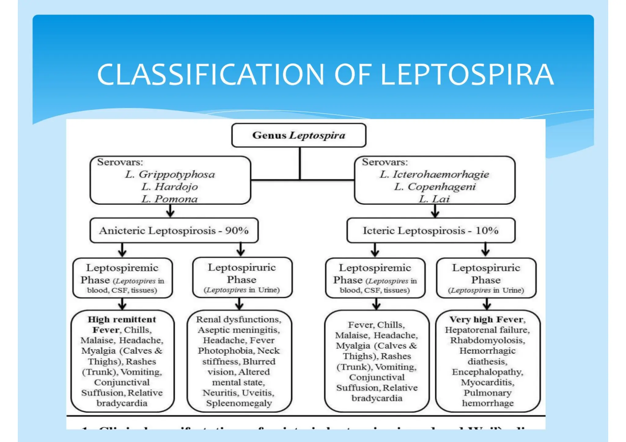 Water borne Pathogen-Leptospira and their disease cycle.pdf